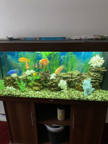 Аквариум с тумбой, фильтром, рыбами, самовывоз