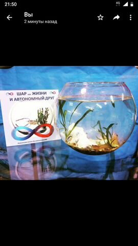 Автономный друг