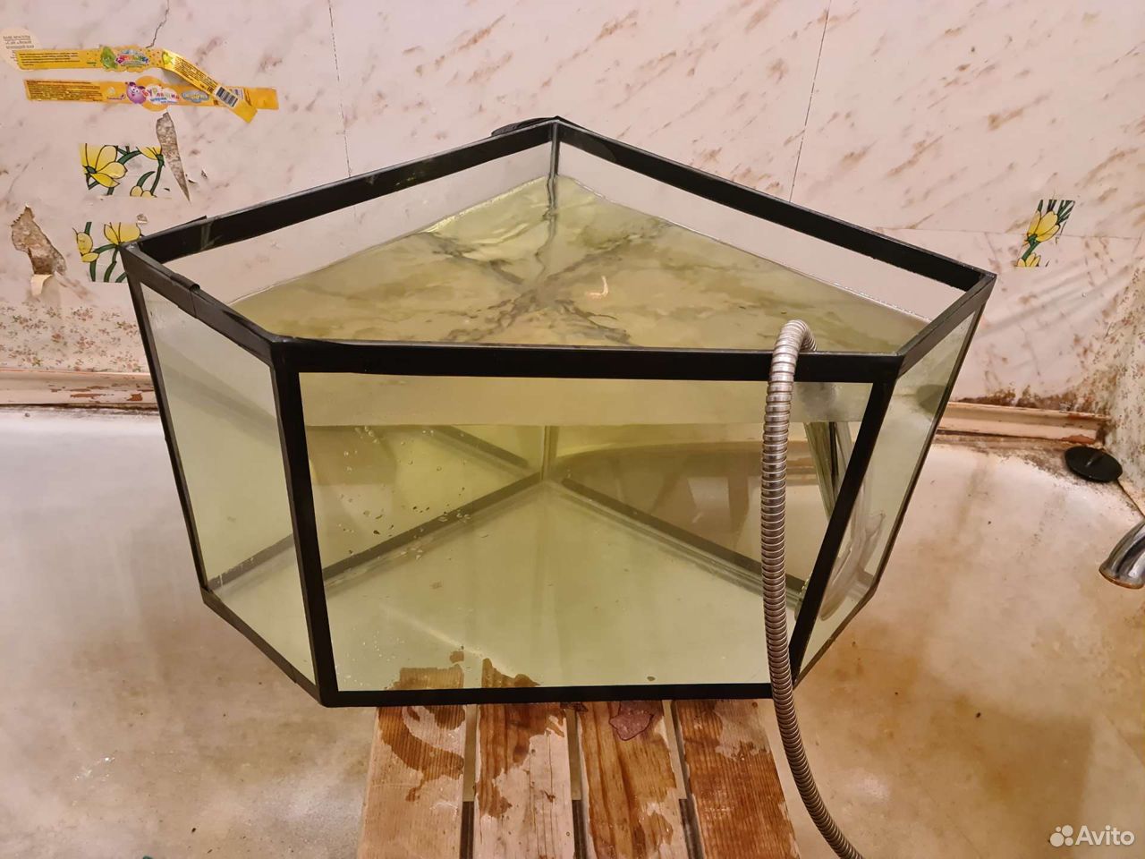 Аквариум угловой